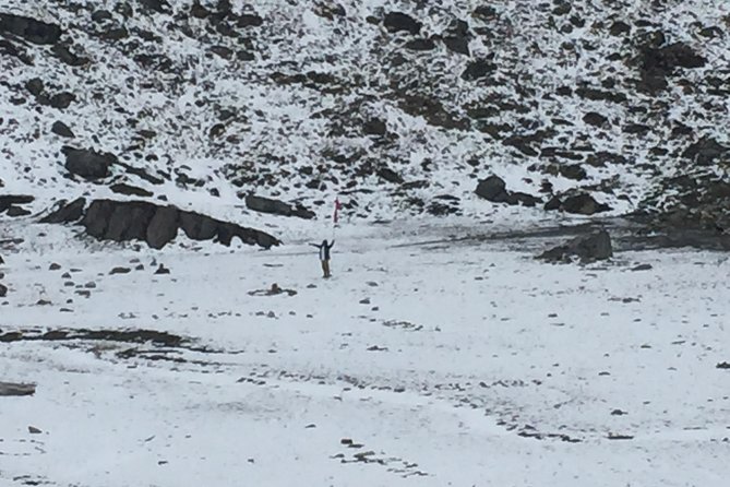 10 Days Annapurna Base Camp Trek From Pokhara - Authentic Experiences: What Travelers Love