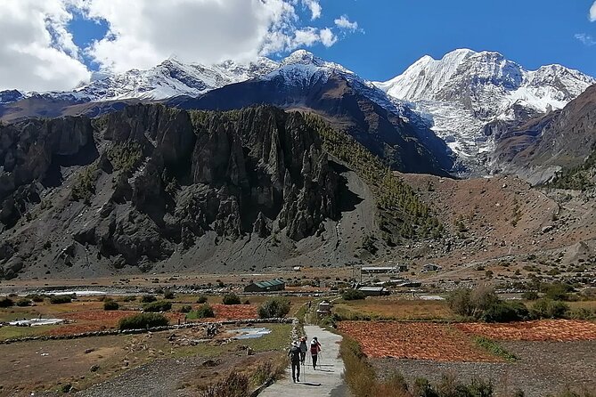 10 Days Annapurna Circuit Trek - Authentic Experiences and Real Reviews