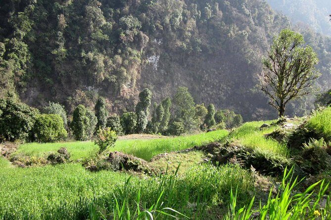 10 Days Annapurna Poon Hill Ghorepani Ghandruk Homestay Trek - FAQs