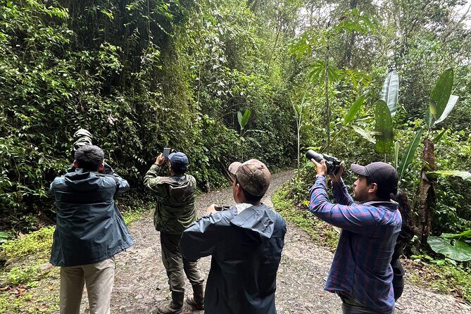 10 Days Birding Photo tour from Andes to Amazon of Ecuador - The Sum Up