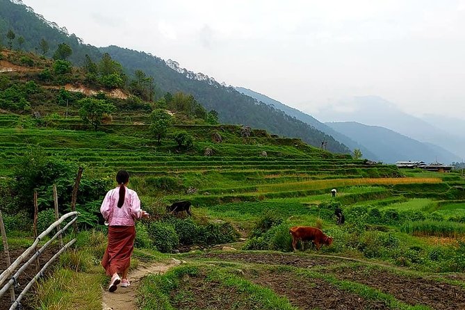 10 Days Essence of BHUTAN - Frequently Asked Questions