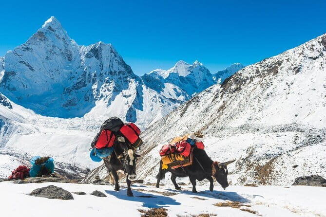 10 Days Langtang Valley and Gosaikunda Trek from Kathmandu - Day 4: To Kyanjin Gompa