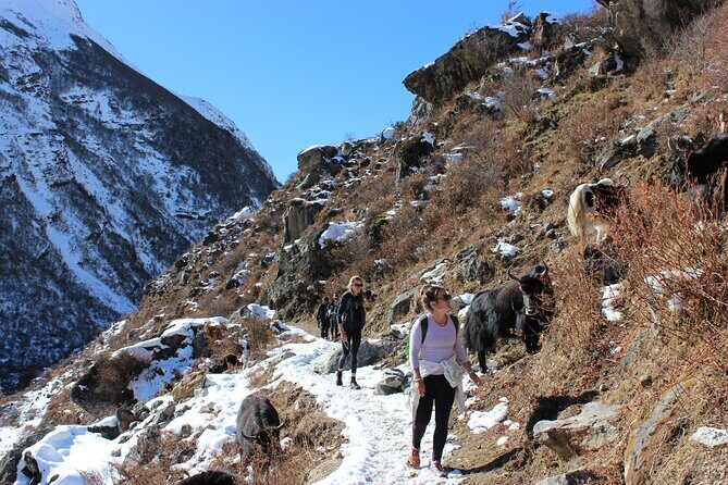 10-Days Private Langtang Valley Trek in Nepal - Final Thoughts: Is This Tour Right for You?
