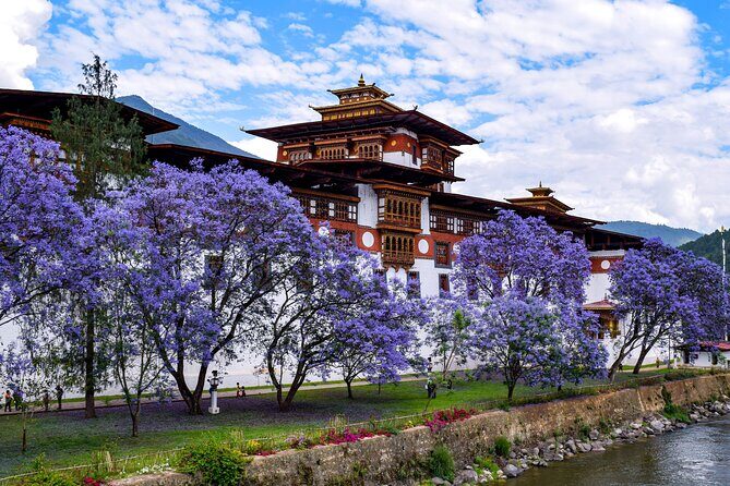 10 Days Private Tour in Central Bhutan - Days 5 & 6: Tranquil Valleys and Birdlife