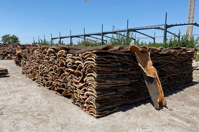 10 Days Private Tour in Portugal - Who Is This Tour Best For?