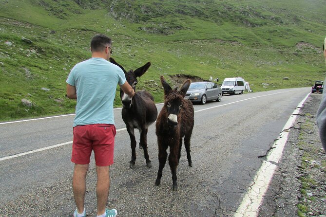 10 Days Private Tour in Romania from Bucharest - Final Thoughts