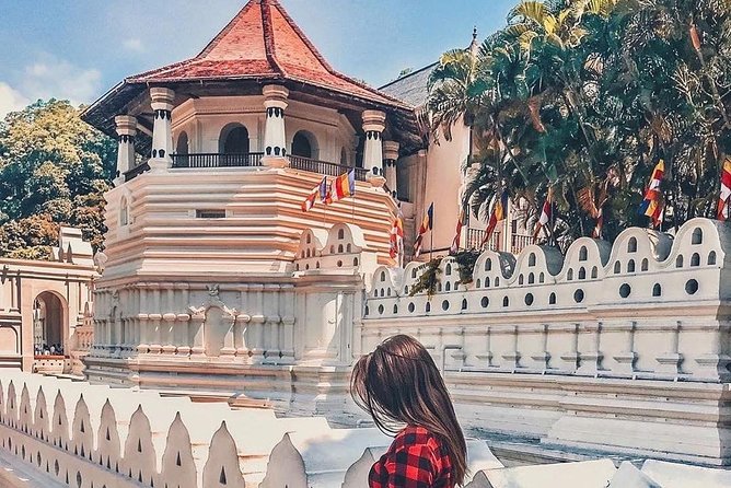 10-Days Private tour package. English speaking driver and Private luxury vehicle - Who Is This Tour Best For?