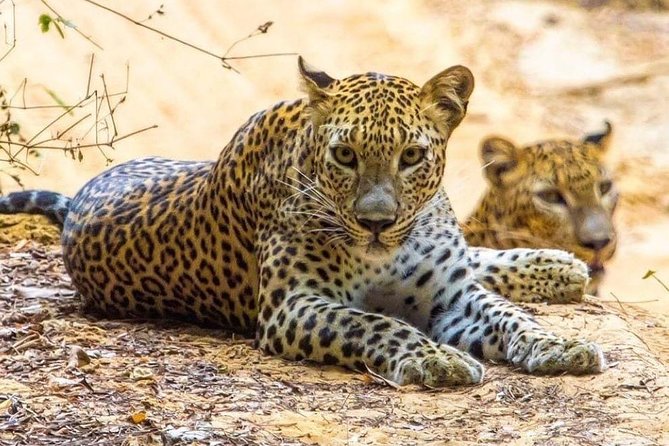 10-Days Private tour package. English speaking driver and Private luxury vehicle - FAQ