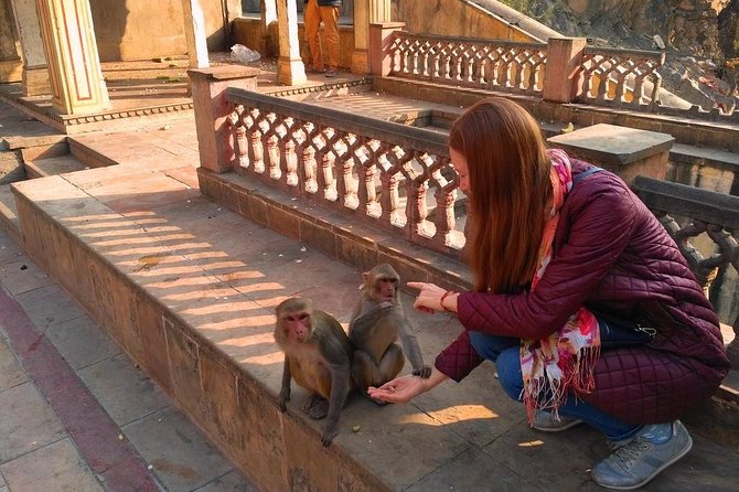 10-Days Rajasthan & Agra tour from Delhi Includes Hotels,Transportations & Guide - Potential Drawbacks