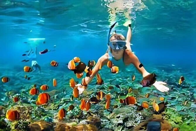 10 Days The Best of Bali Gilis and Nusa Penida Island Experience - Analyzing the 10-Day Bali, Gilis, and Nusa Penida Tour