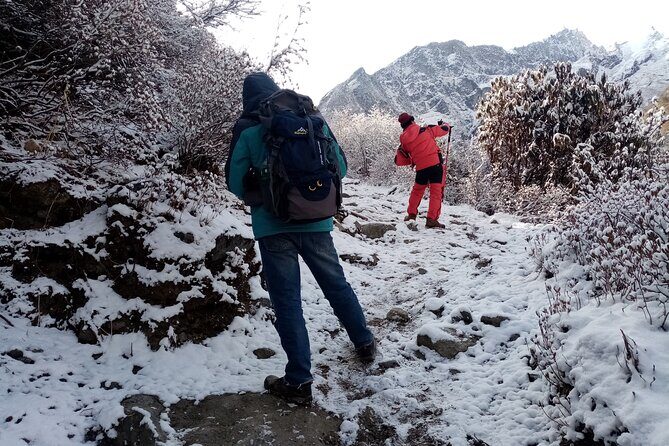 10 Days Tour in Kathmandu Langtang Valley Trek - Price and Value