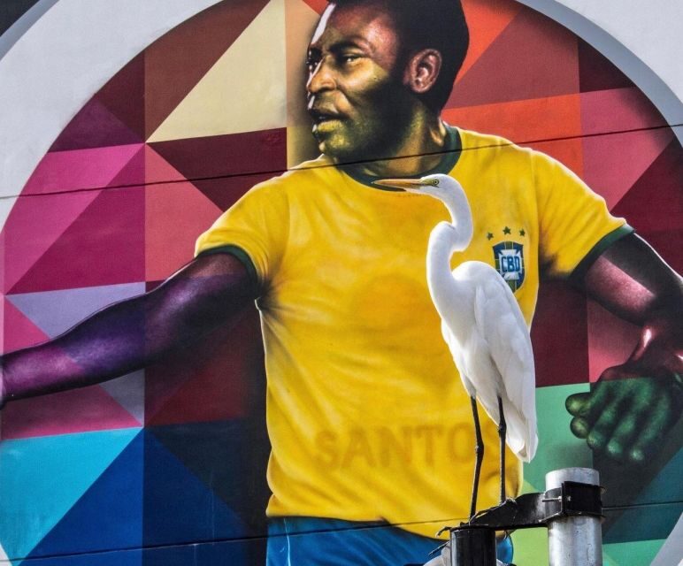 10-hour beach tour Santos: Shared with Tickets & Lunch - Key Points