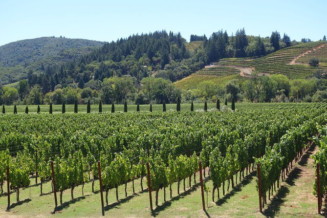 10-Hour Napa Valley Wine Tasting Tour Customized Private Tours - Introduction: A Flexible Way to Taste Napa Valley’s Finest