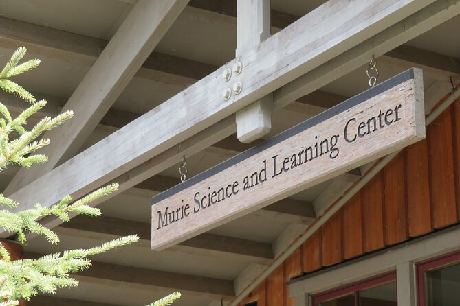 10 Hours Denali Winter Drive in Alaska - Is This Tour Worth the Price?