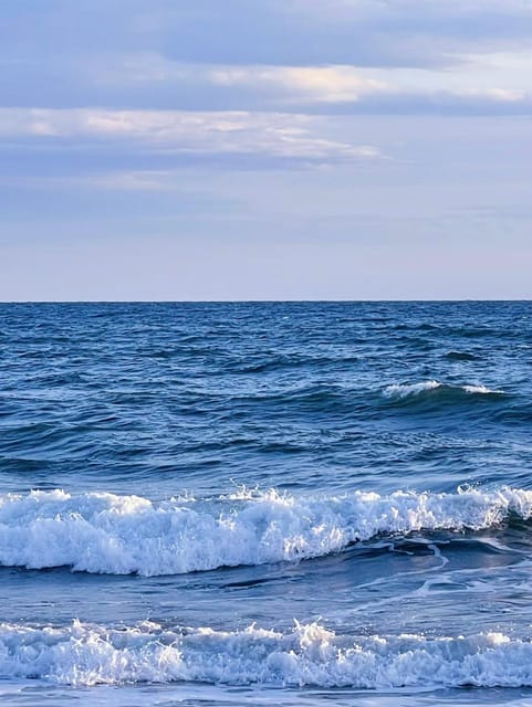 10 Hours Tour in Hakone - Experience Highlights