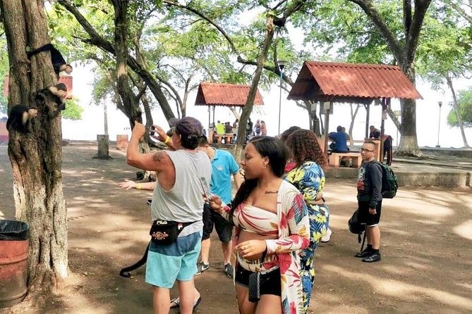 10 in 1 Puntarenas Highlights Tour - Highlights of the Tour