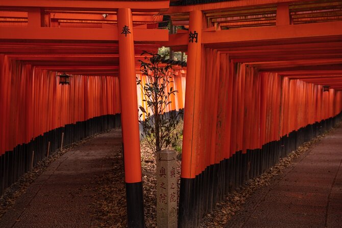 10 Must-See Spots in Kyoto One Day Private Tour (Up to 7 People) - Fushimi Inari-taisha Shrine