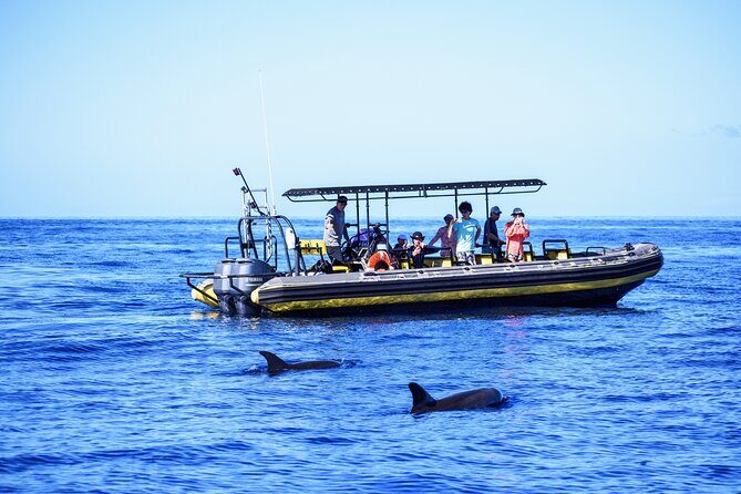 10 Passenger Max Customizable Private Charter - An Intimate Journey on the Water