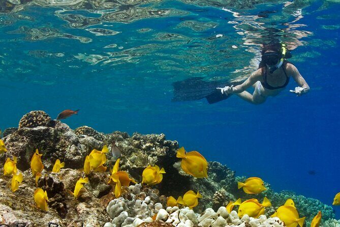 10 Passenger Max Customizable Private Charter - Why This Tour Might Be Perfect for You
