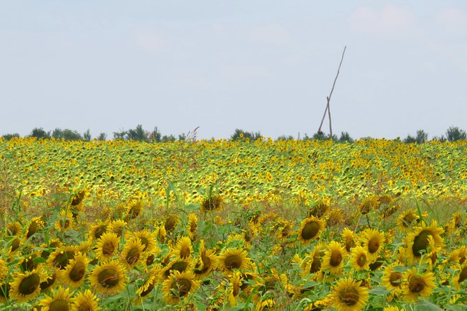 100 km by bike near Bucharest - The Guide and Group Experience