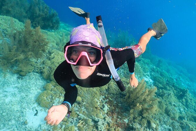 100% Private Charter Snorkel, Sail, Relax (Cruisers Friendly) - Who Is This Tour Best For?