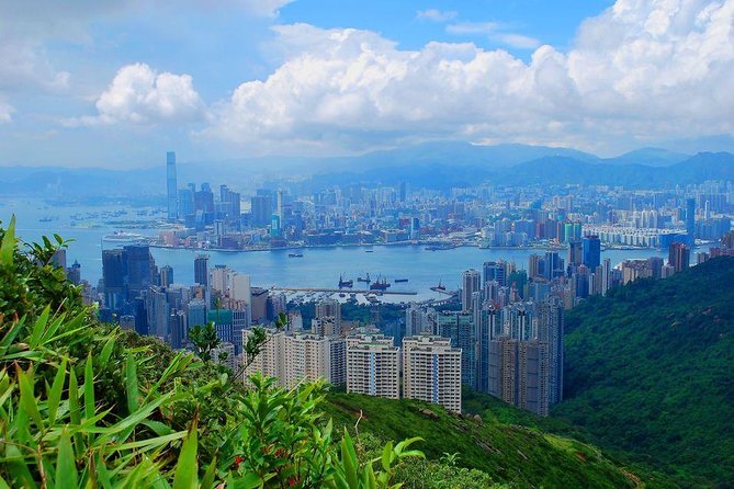 100% Private & Personalised Tour of Hong Kong With A Local Insider - What Does the Tour Look Like?