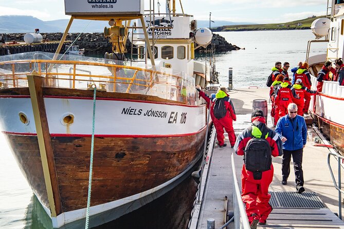 100% Whale Watching - The Itinerary: What to Expect