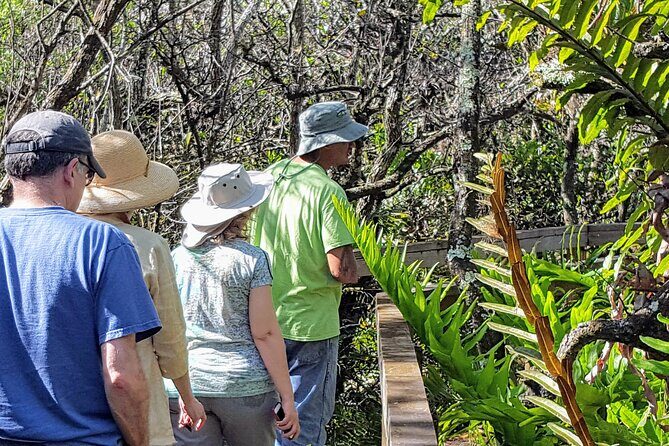 10,000 Islands Boat Tour + Naturalist Led Walk in the Everglades! - Introduction: What’s the Tour All About?