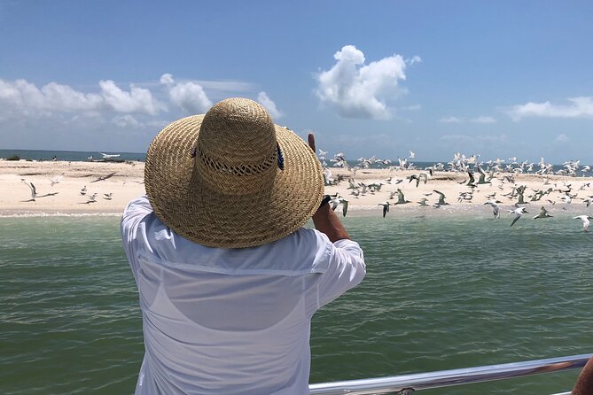 10,000 Islands Excursion Small-Group 3.5 Hour Dolphin & Shelling Boat Tour - Important Information for Tour Participants