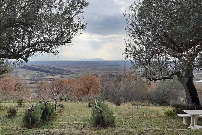 1001 Windows of Berat & Golden Sunset in Apollonia - Customer Feedback and Ratings