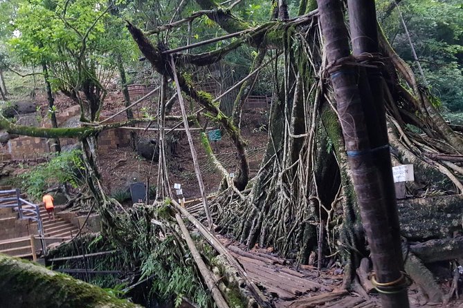 10D/9N Assam-Meghalaya-Arunachal pradesh - Potential Drawbacks or Considerations