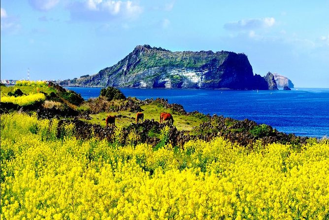 10day Small Group Discover Korea Tour : History, Food and Culture - Who Will Love This Tour?