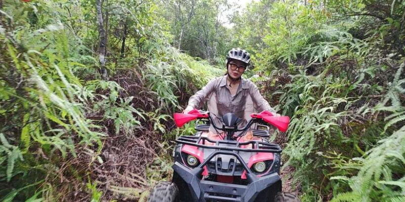 10KM ATV Explore Jungle By D'Bamboo Kamp Attraction - What Is the Experience Like?