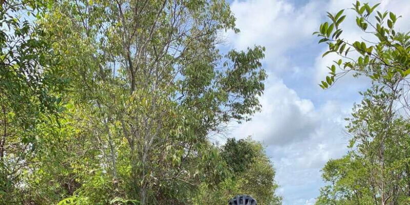 10KM ATV Explore Jungle By D'Bamboo Kamp Attraction - Detailed Itinerary Breakdown