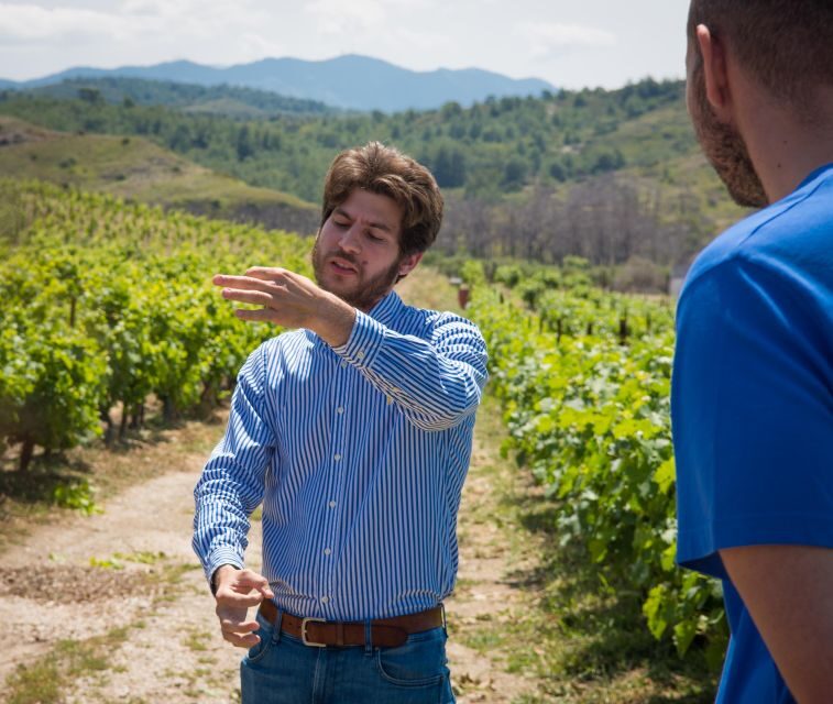 11 Course Lunch, Wine Tasting & Cooking Mastery in Rhodes - Who Might Want to Consider Alternatives