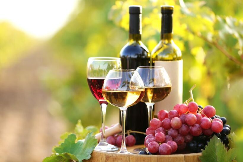 11 Course Lunch, Wine Tasting & Cooking Mastery in Rhodes - FAQ