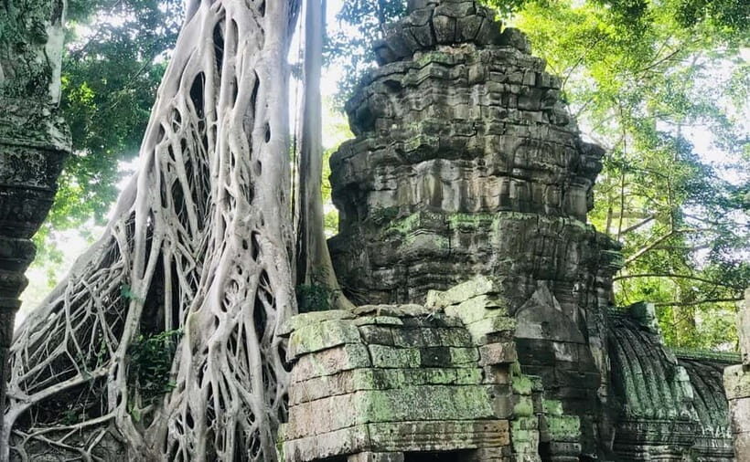11-Day Cambodia Tour: visit Phnom Penh, Siem Reap & Beyond - Who This Tour Is Best For