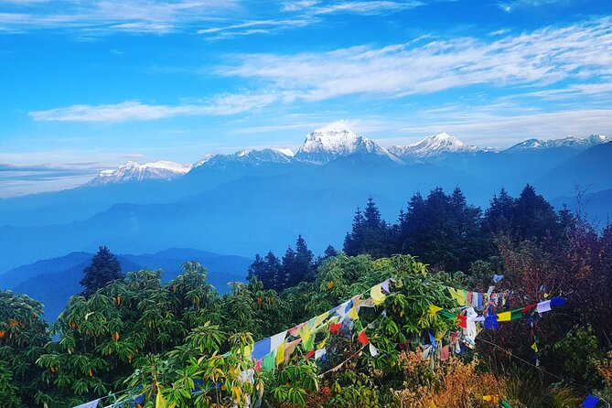 11-Day Hike Tour to Annapurna Base Camp Bliss in Kathmandu - A Closer Look at the Itinerary