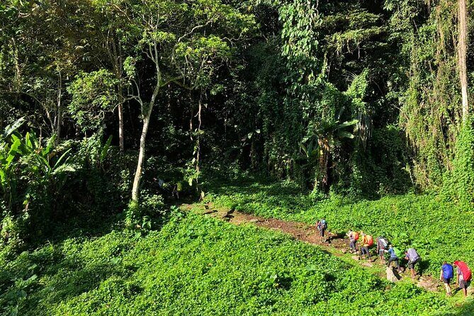 11 Day Kokoda Trek Australian and Local Guides - Day 5: Climbing Mt Bellamy and the Kokoda Gap