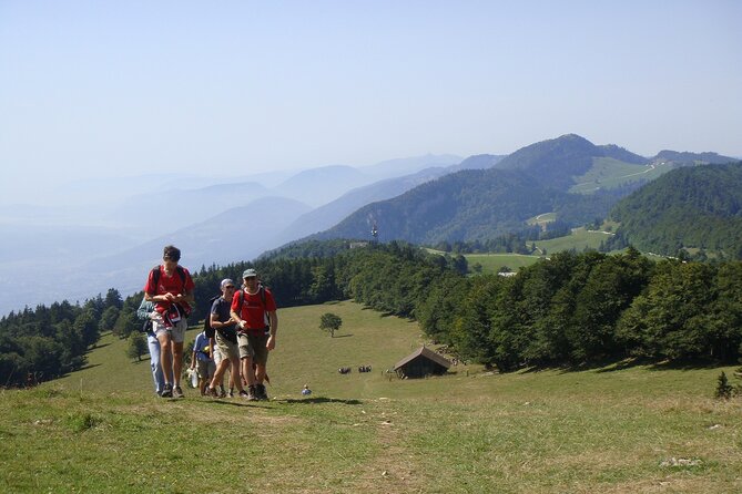 11-Day Private Lite Tour Across Switzerland by Bike from Geneve - Authentic Experiences and Highlights