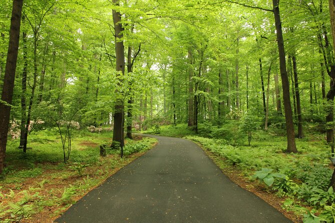 11-Day Private Lite Tour Across Switzerland by Bike from Geneve - FAQs