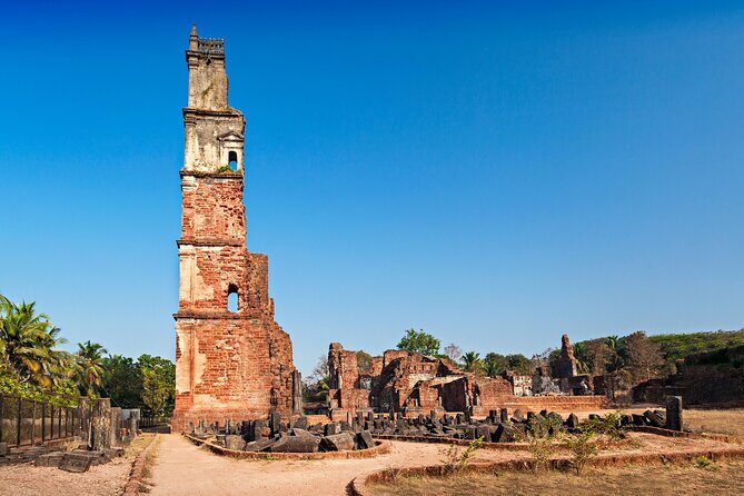 11 Days Private Transport Golden Triangle Tour with Goa - Final Days of Leisure and Departure