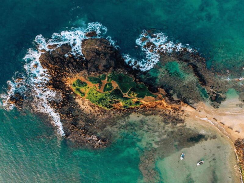 11 Days Sri Lanka Tour With Private Chauffeur & Vehicle - The Pros and Cons from Traveler Feedback