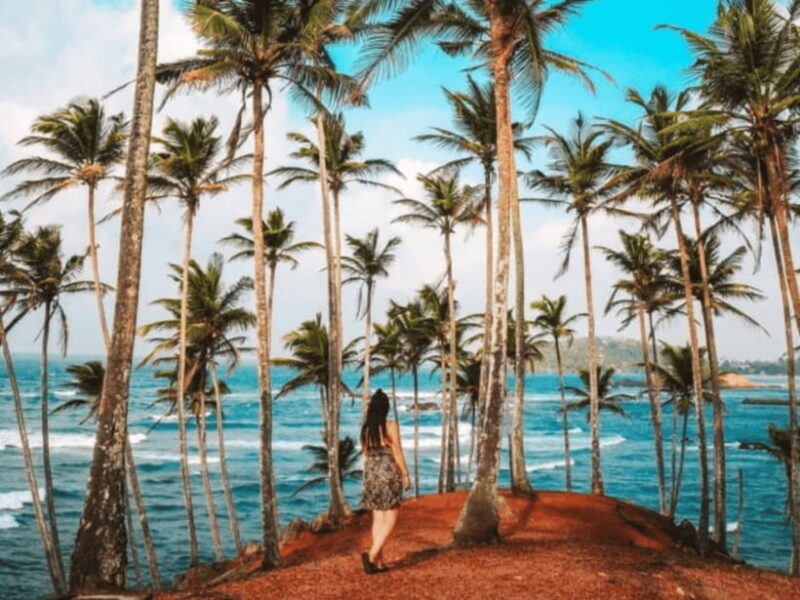 11 Days Sri Lanka Tour With Private Chauffeur & Vehicle - Practical Tips for Your Trip