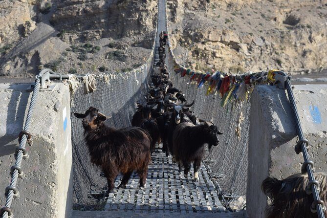 11 Night 12 Days Upper Mustang Trek - The Sum Up