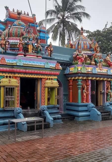 11 nights, 12 days round trip in Sri Lanka: nature, culture, local experiences! - Who Should Consider This Tour?