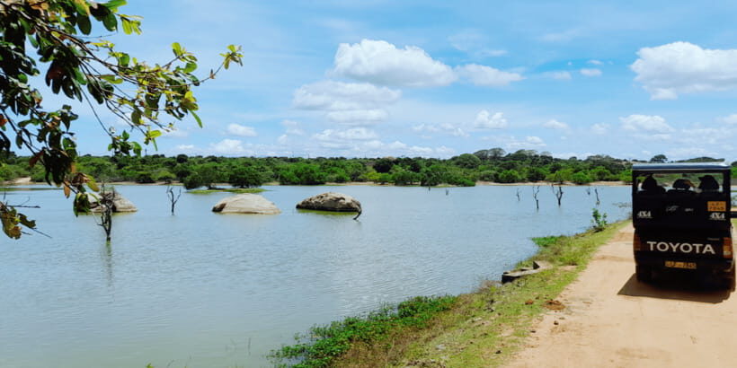 11 nights, 12 days round trip in Sri Lanka: nature, culture, local experiences! - FAQ