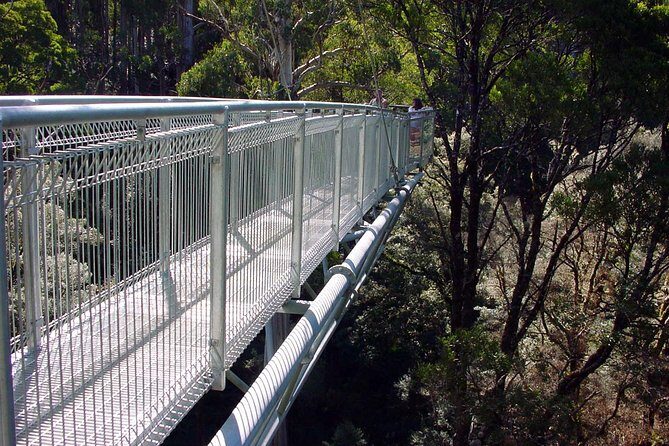12 Apostles and Otway Fly Zipline Day Trip from Melbourne - What the Reviews Say
