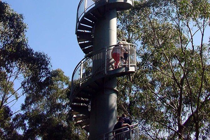 12 Apostles and Otway Fly Zipline Day Trip from Melbourne - FAQ