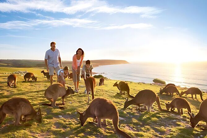 12 Apostles Great Ocean Road Tour From Melbourne - What Sets This Tour Apart?